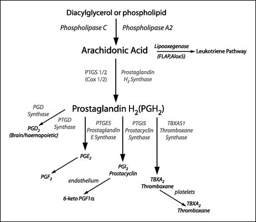 Common Polymorphisms in the Prostaglandin Pathway Genes and Their ...