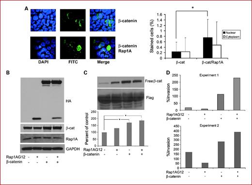 Rap1 Stabilizes β-Catenin and Enhances β-Catenin–Dependent ...