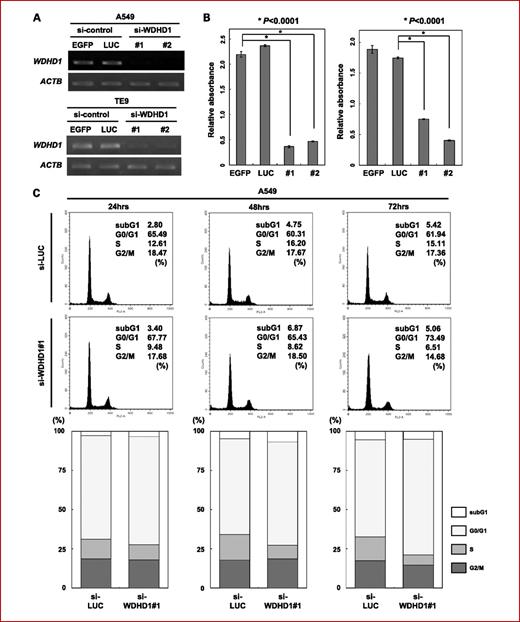 Activation of WD Repeat and High-Mobility Group Box DNA Binding Protein ...