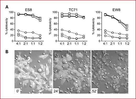 Cytotoxicity of Activated Natural Killer Cells against Pediatric Solid ...