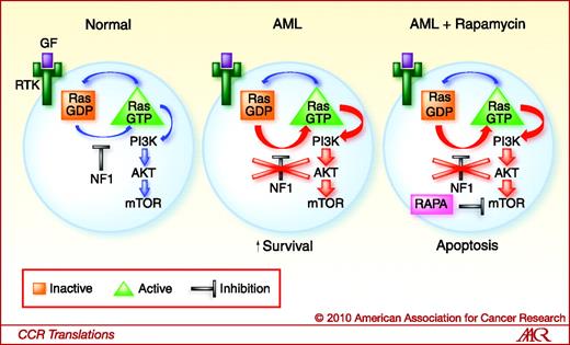 NF1 Inactivation Revs Up Ras in Adult Acute Myelogenous Leukemia ...