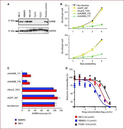 System-Level Analysis of Neuroblastoma Tumor–Initiating Cells ...