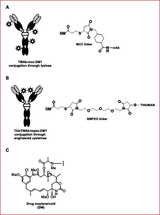 Engineered Thio-Trastuzumab-DM1 Conjugate with an Improved Therapeutic ...