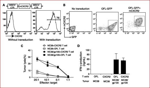 Transduction of Tumor-Specific T Cells with CXCR2 Chemokine Receptor ...