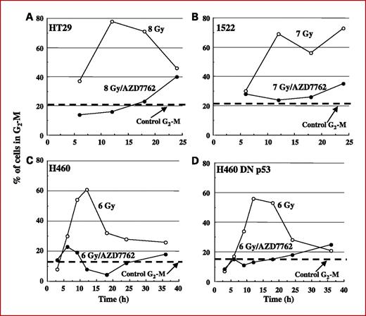 In vitro and In vivo Radiation Sensitization of Human Tumor Cells by a ...