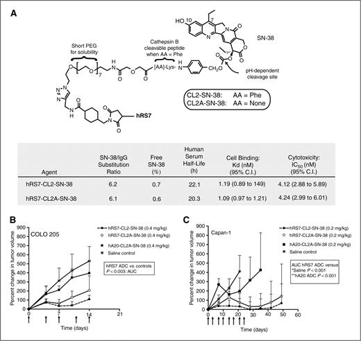 Humanized Anti-Trop-2 IgG-SN-38 Conjugate for Effective Treatment of ...
