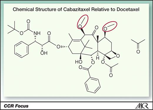 Overcoming Chemotherapy Resistance in Prostate Cancer | Clinical Cancer ...