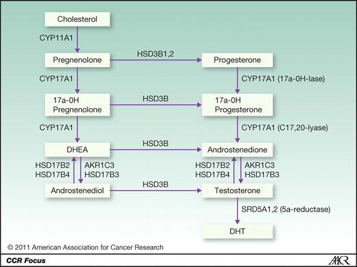 Targeting Continued Androgen Receptor Signaling in Prostate Cancer ...