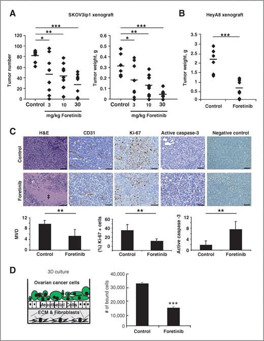 Foretinib (GSK1363089), an Orally Available Multikinase Inhibitor of c ...