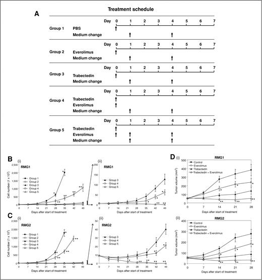 The Activity of Trabectedin As a Single Agent or in Combination with ...