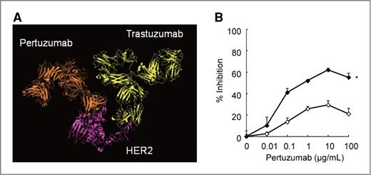 Pertuzumab in Combination with Trastuzumab Shows Significantly Enhanced ...