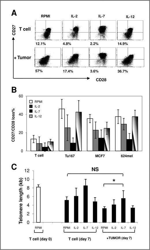 Interleukin-7 Inhibits Tumor-Induced CD27−CD28− Suppressor T Cells ...