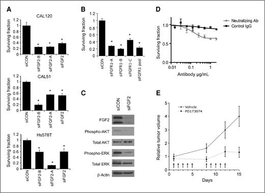FGFR Signaling Promotes the Growth of Triple-Negative and Basal-Like ...