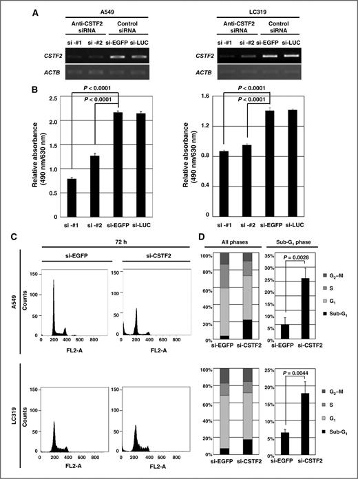 Characterization of a Cleavage Stimulation Factor, 3′ pre-RNA, Subunit ...
