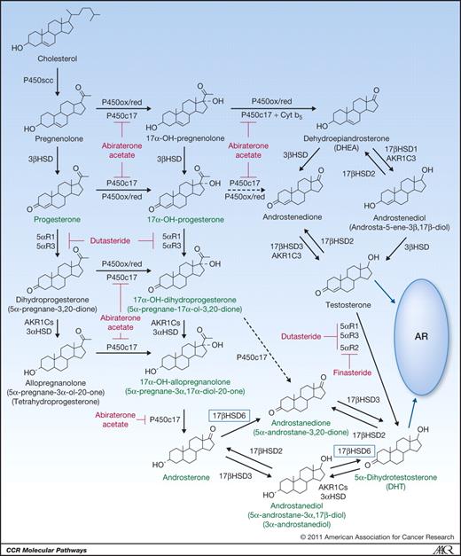Potential Prostate Cancer Drug Target: Bioactivation of Androstanediol ...