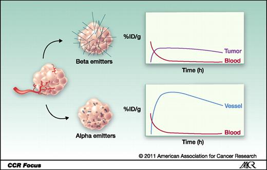 Antibody-Radionuclide Conjugates for Cancer Therapy: Historical ...