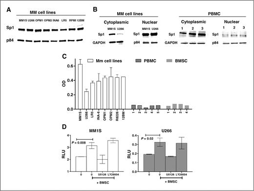 Significant Biological Role of Sp1 Transactivation in Multiple Myeloma ...