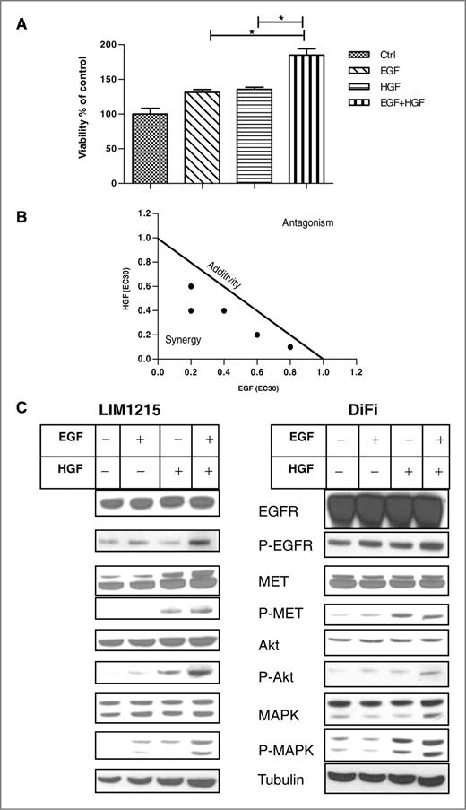 HGF Rescues Colorectal Cancer Cells from EGFR Inhibition via MET ...