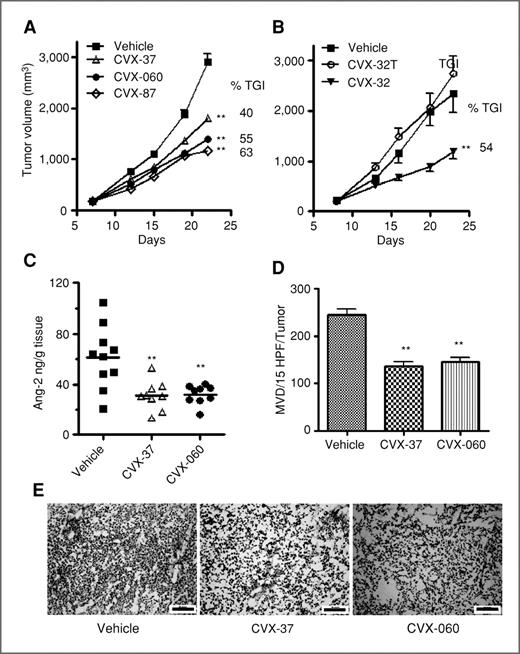 Specifically Targeting Angiopoietin-2 Inhibits Angiogenesis, Tie2 ...