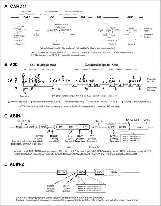 A20, ABIN-1/2, and CARD11 Mutations and Their Prognostic Value in ...