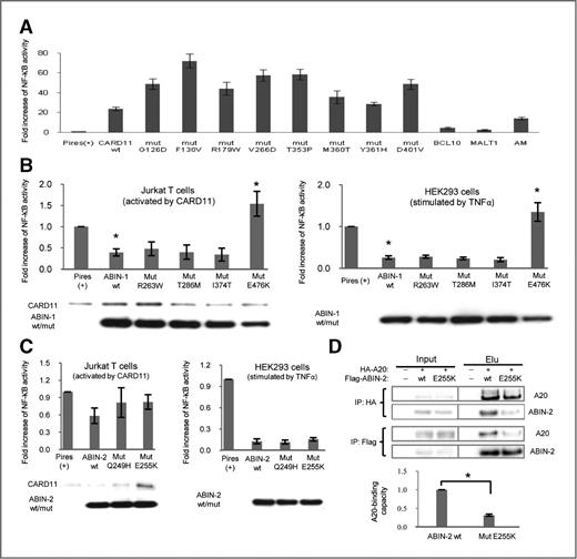 A20, ABIN-1/2, and CARD11 Mutations and Their Prognostic Value in ...