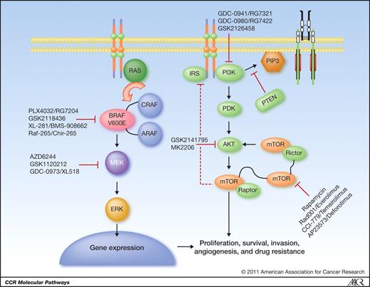 Targeting BRAF in Advanced Melanoma: A First Step toward Manageable ...