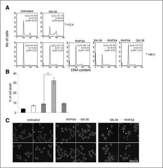 DNA Damage Persistence as Determinant of Tumor Sensitivity to the ...