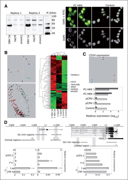 FUS-CREB3L2/L1–Positive Sarcomas Show a Specific Gene Expression ...