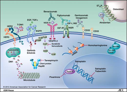 Drug Development: Portals of Discovery | Clinical Cancer Research ...