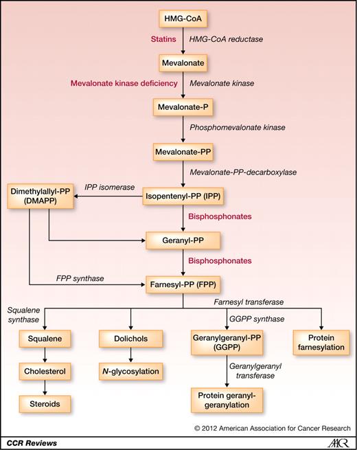 Novel Aspects of Mevalonate Pathway Inhibitors as Antitumor Agents ...