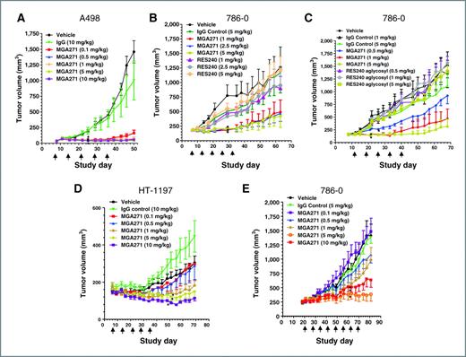 Development of an Fc-Enhanced Anti–B7-H3 Monoclonal Antibody with ...