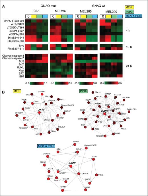 Combination Small Molecule MEK and PI3K Inhibition Enhances Uveal ...
