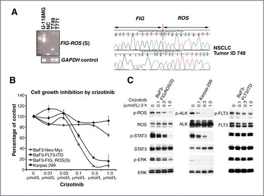 Analysis of Receptor Tyrosine Kinase ROS1-Positive Tumors in Non–Small ...
