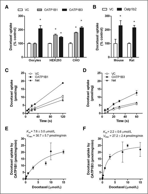 Influence of Polymorphic OATP1B-Type Carriers on the Disposition of ...