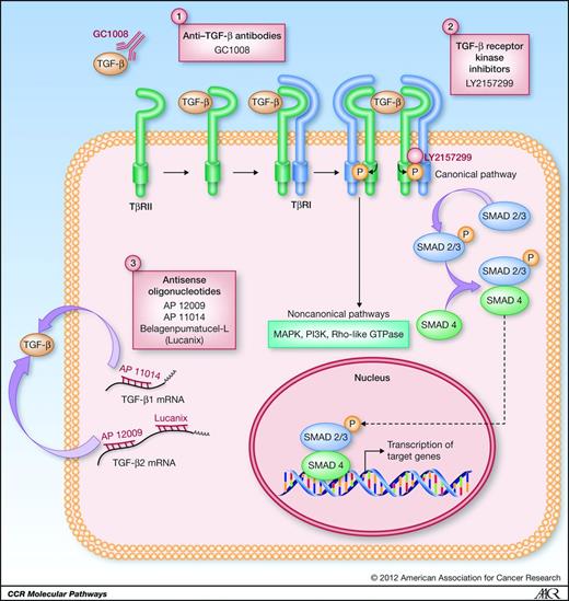 Molecular Pathways: Targeting the TGF-β Pathway for Cancer Therapy ...