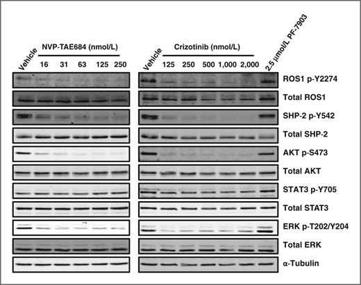 Identifying and Targeting ROS1 Gene Fusions in Non–Small Cell Lung ...