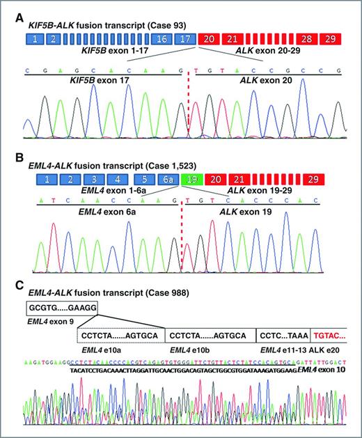 The Use of Quantitative Real-Time Reverse Transcriptase PCR for 5′ and ...