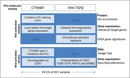 Wnt-Pathway Activation in Two Molecular Classes of Hepatocellular Carcinoma and Experimental ...