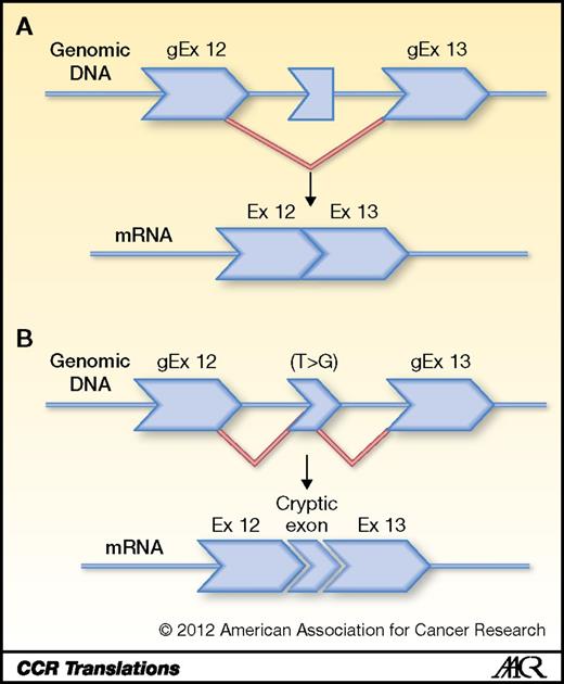 Hidden Dangers: A Cryptic Exon Disrupts BRCA2 mRNA | Clinical Cancer ...