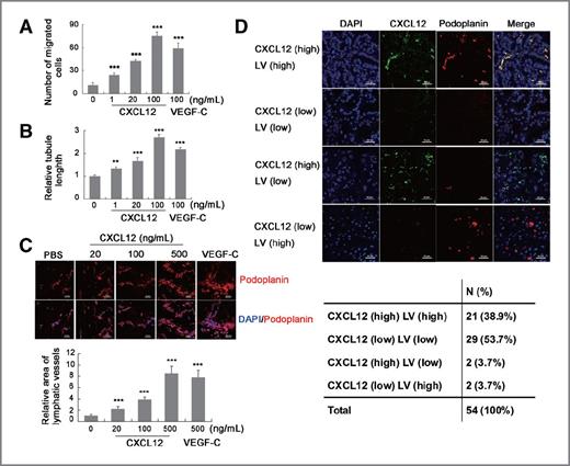 The CXCL12–CXCR4 Chemokine Pathway: A Novel Axis Regulates ...