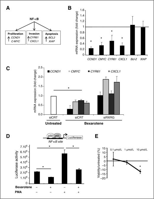 Bexarotene via CBP/p300 Induces Suppression of NF-κB–Dependent Cell ...