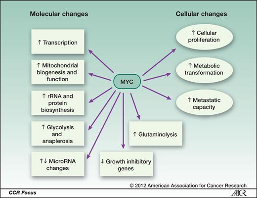 c-Myc and Cancer Metabolism | Clinical Cancer Research | American ...