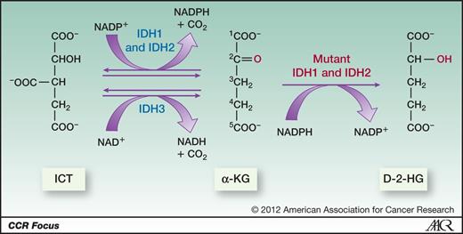 IDH1 and IDH2 Mutations in Tumorigenesis: Mechanistic Insights and ...