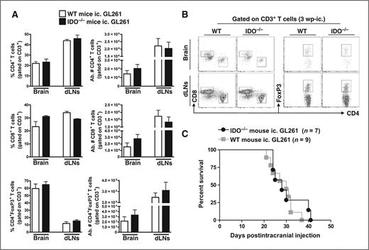 IDO Expression in Brain Tumors Increases the Recruitment of Regulatory ...