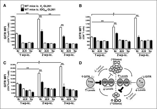 IDO Expression in Brain Tumors Increases the Recruitment of Regulatory ...