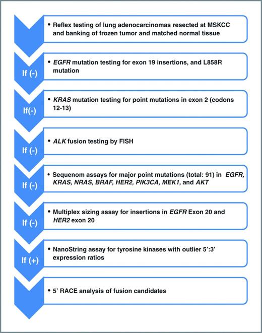 Identification of KIF5B-RET and GOPC-ROS1 Fusions in Lung ...