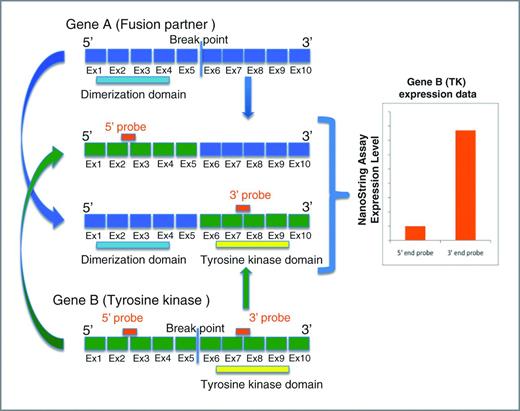 Identification of KIF5B-RET and GOPC-ROS1 Fusions in Lung ...