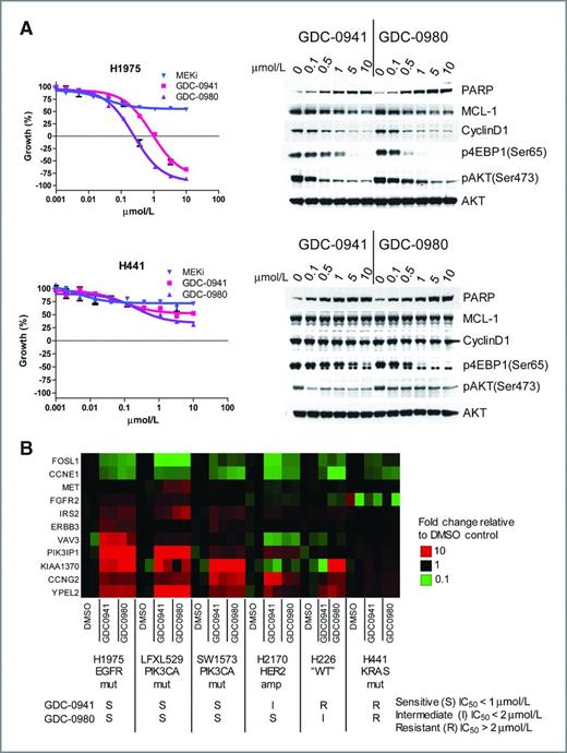 Phosphoinositide 3-Kinase (PI3K) Pathway Alterations Are Associated ...