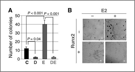 Opposing Effects of Runx2 and Estradiol on Breast Cancer Cell ...