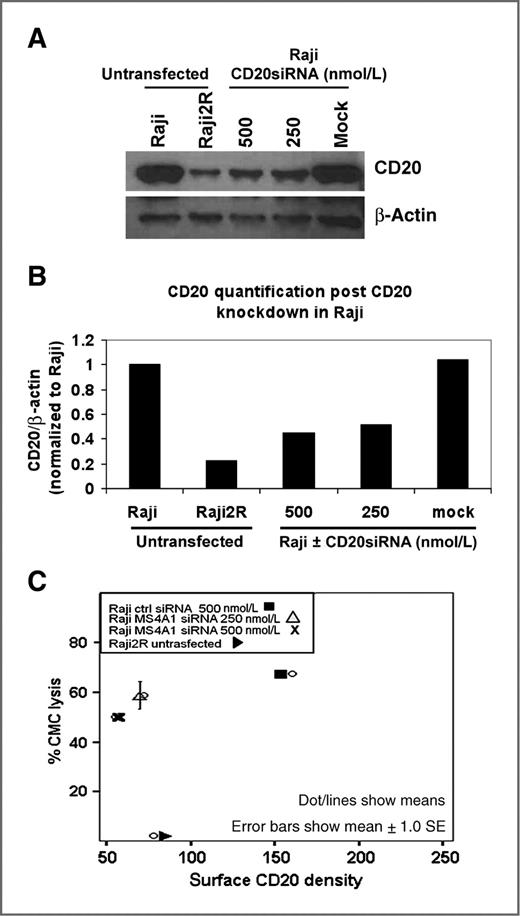 Regulation of CD20 in Rituximab-Resistant Cell Lines and B-cell Non ...
